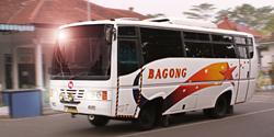 Bagong Bus | Service